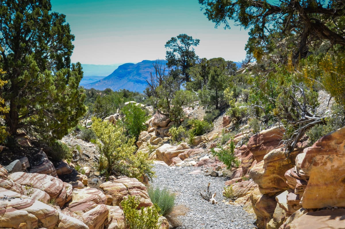 California Vs Nevada Merlin Custom Home Builders In Las Vegas